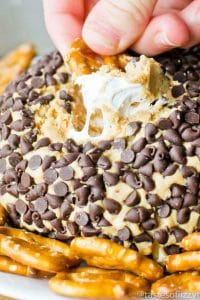 Fluffernutter Dip {Chocolate, Peanut Butter, & Marshmallow Dessert Dip}