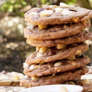 Tropical Paradise Cookies {with White & Dark Chocolate, Coconut and ...