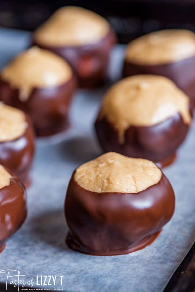 Homemade Buckeye Recipe | Tastes of Lizzy T