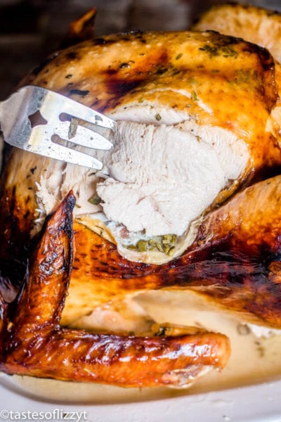 Roast Turkey in an Electric Roaster {Easy Recipe for Thanksgiving Turkey}