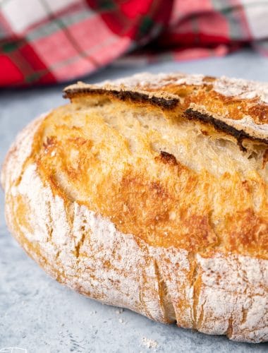 Sourdough Archives - Tastes of Lizzy T