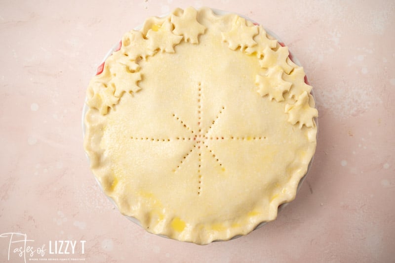 Sourdough Pie Crust with Discard | Tastes of Lizzy T