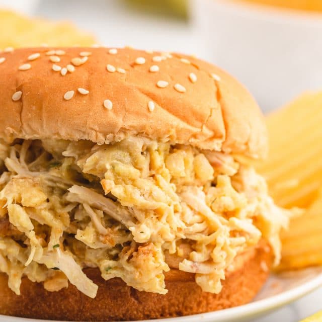 Crockpot Chicken and Stuffing Recipe | Tastes of Lizzy T