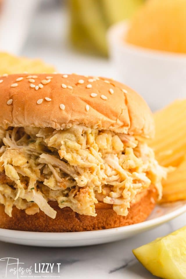Ohio Shredded Chicken Sandwiches | Tastes of Lizzy T