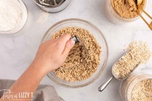 Oatmeal Pie Crust {Easy Recipe for Cream Pies} | Tastes of Lizzy T