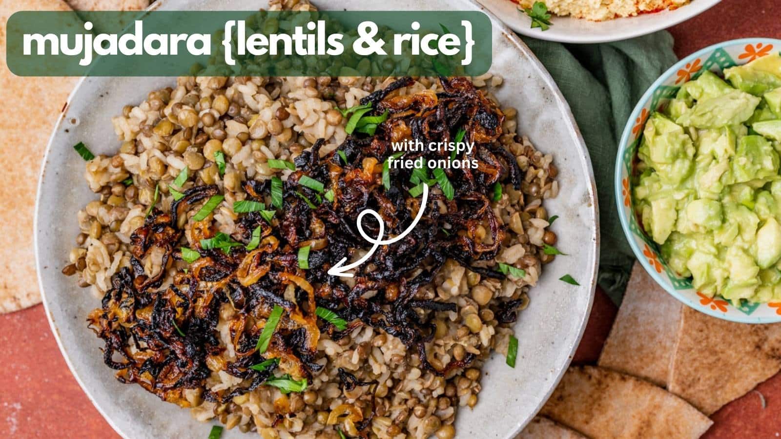 Mujadara Recipe - Tastes of Lizzy T