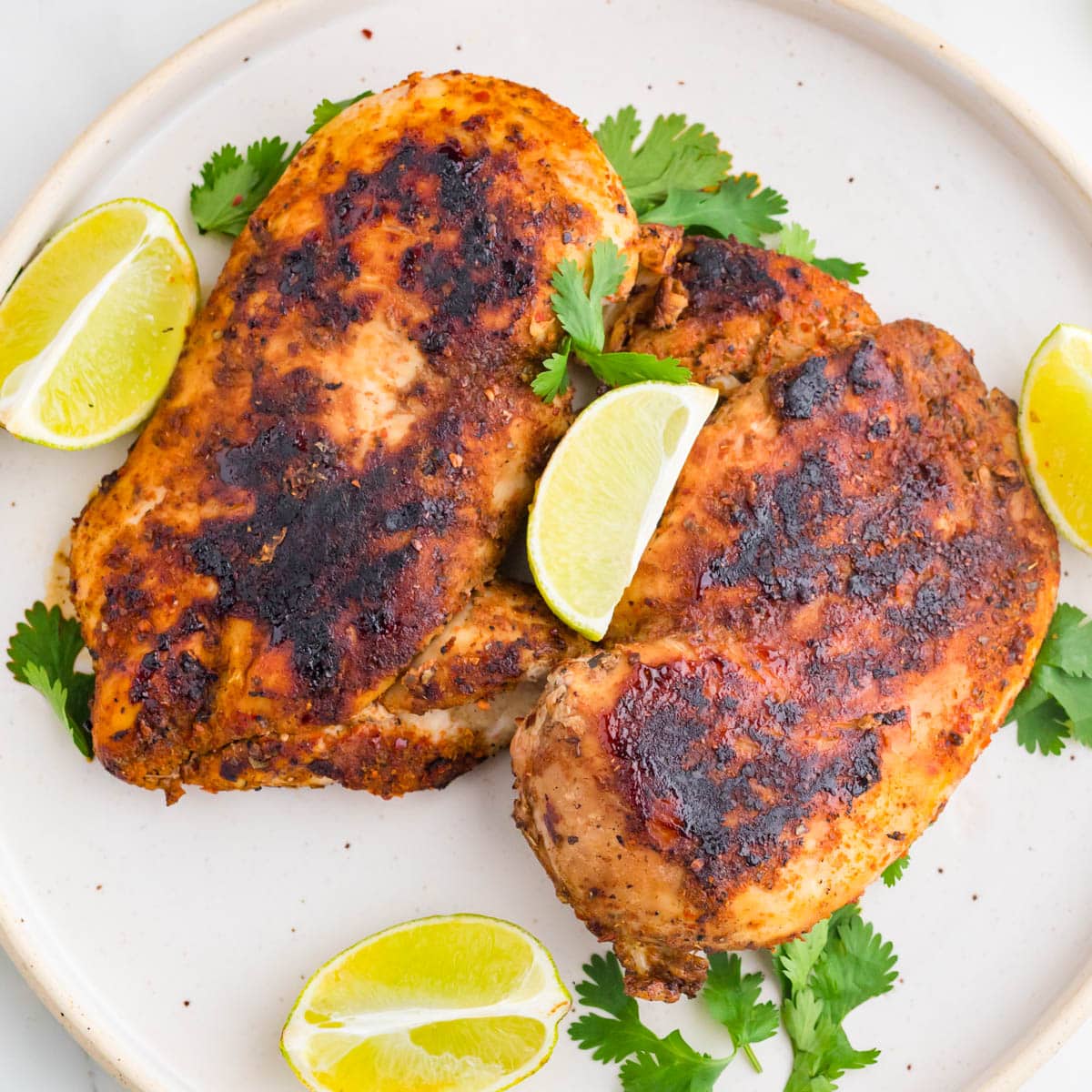 75+ of the Best Chicken Recipes for Weeknight Dinners & Holidays