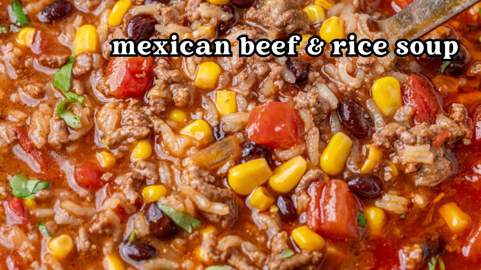 Mexican Beef and Rice Soup Recipe | Tastes of Lizzy T