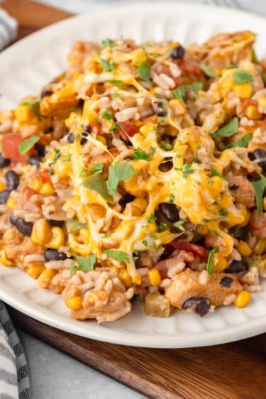 Mexican Chicken and Rice | Tastes of Lizzy T