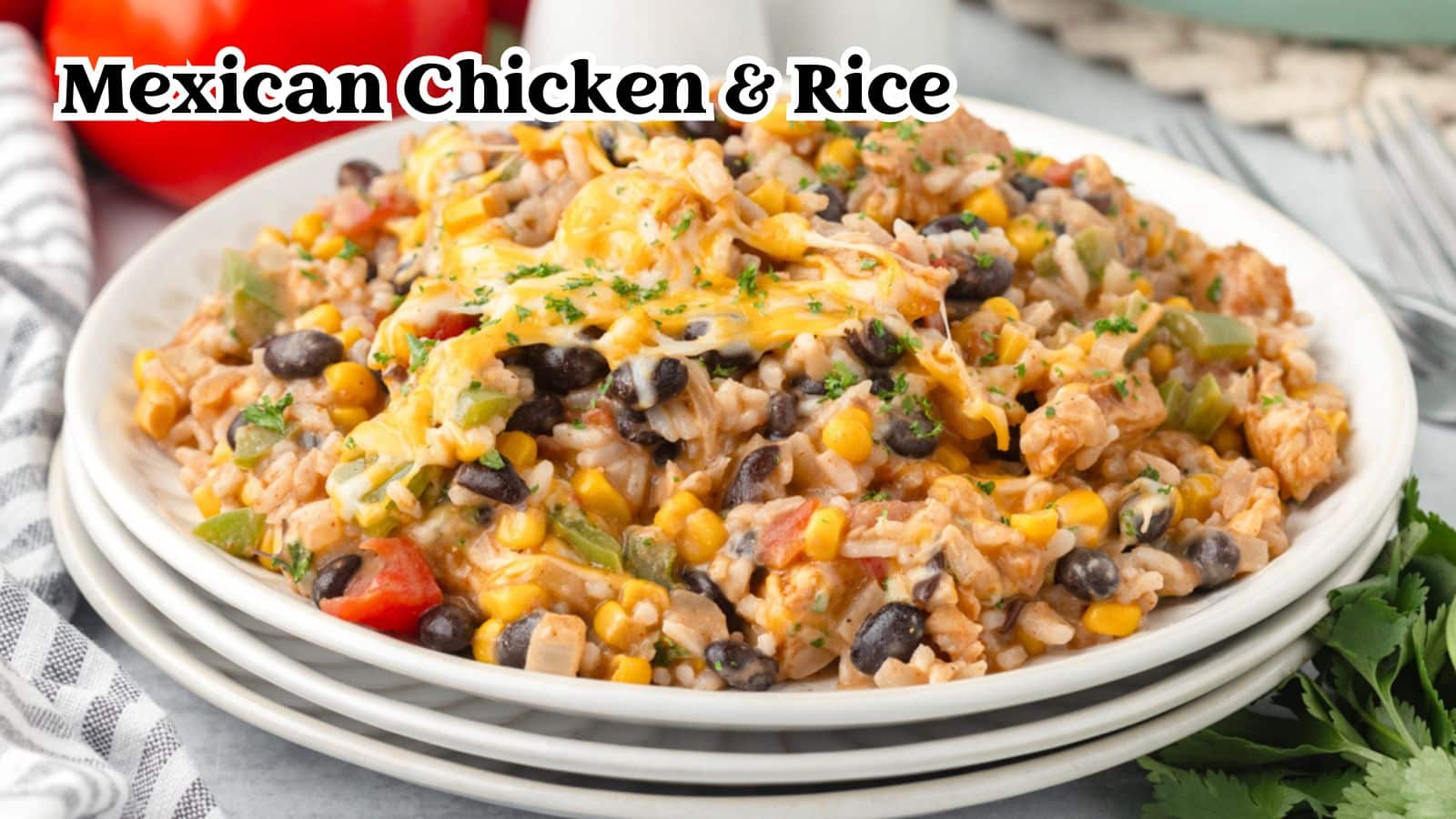 Mexican Chicken and Rice | Tastes of Lizzy T