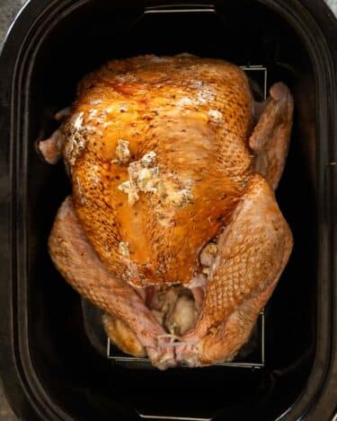 Cooking a Turkey in a Roaster | Tastes of Lizzy T