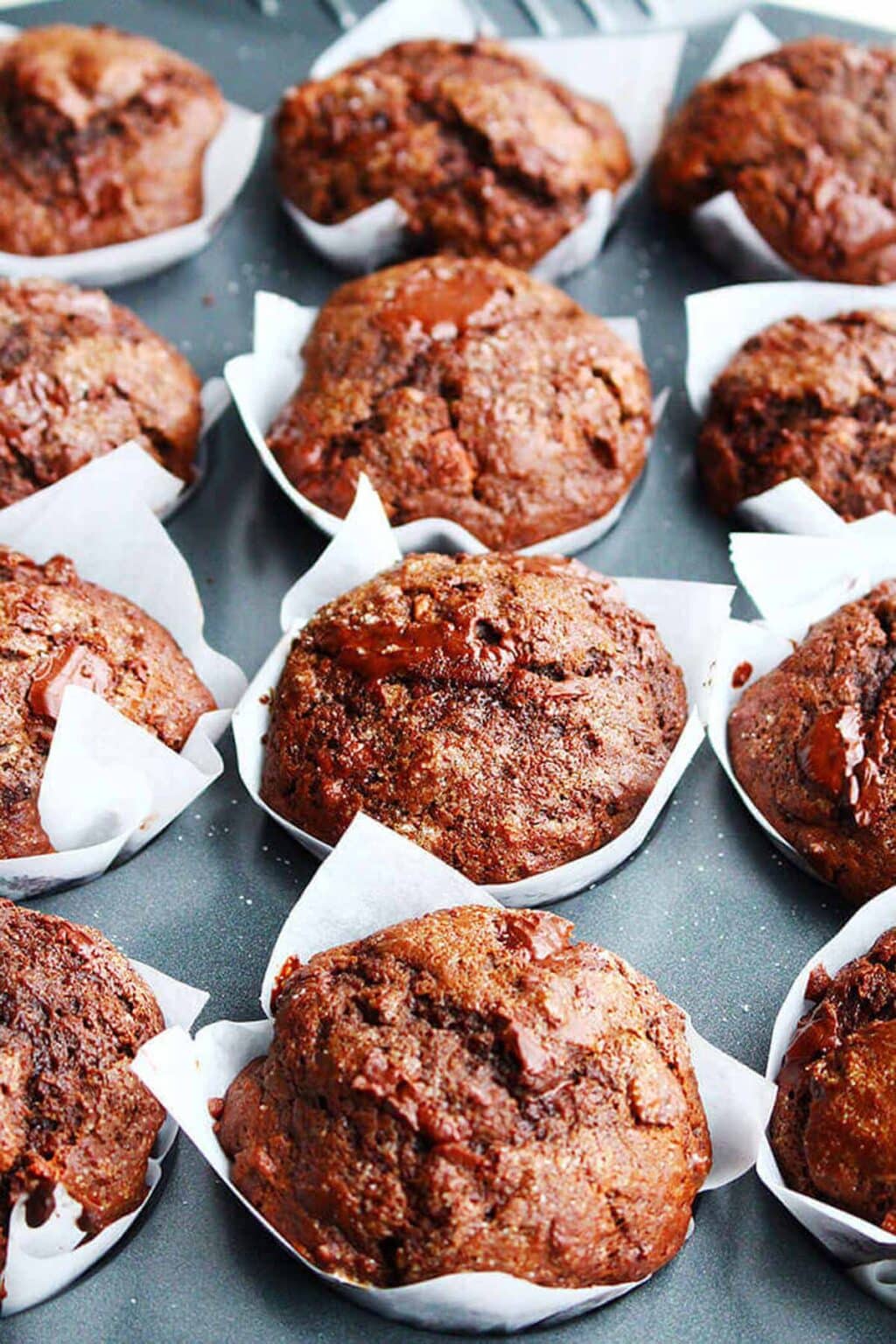 Chocolate Fudge Muffins | Tastes of Lizzy T
