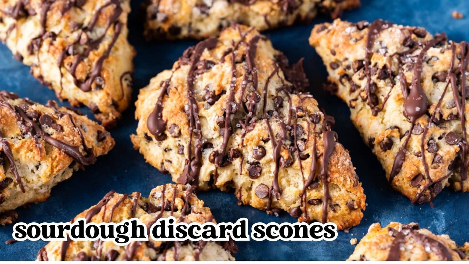 Sourdough Discard Scones - Tastes of Lizzy T