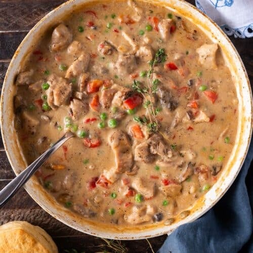 Mayo Chicken with Parmesan Cheese | Tastes of Lizzy T