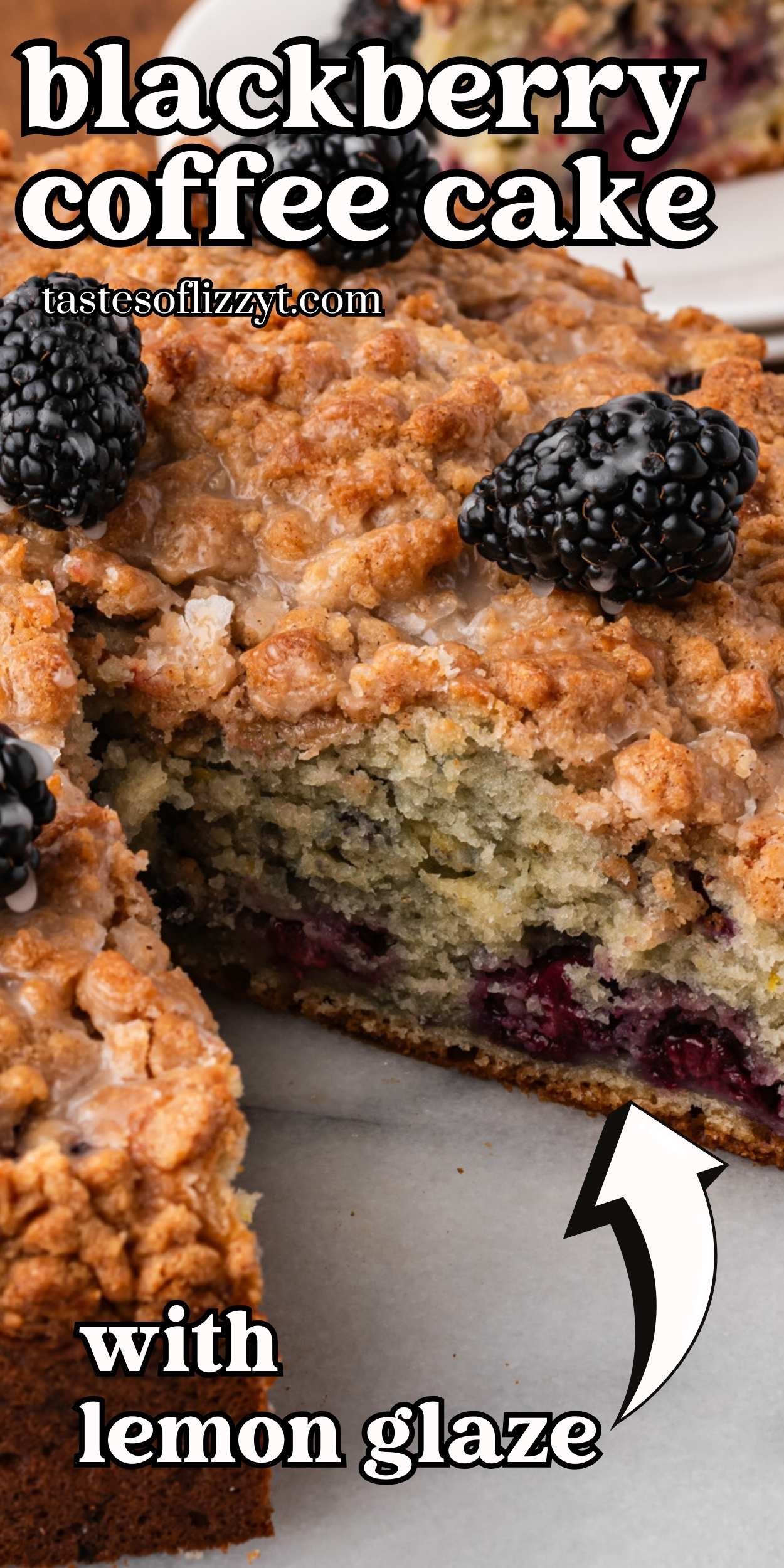 Blackberry Coffee Cake With Sour Cream and Streusel Topping