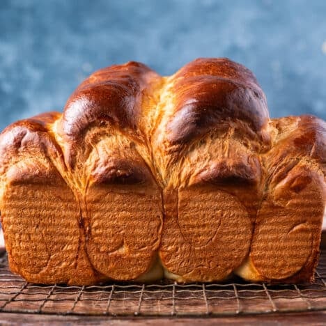 Cheesy Asiago Bread Recipe | Tastes of Lizzy T